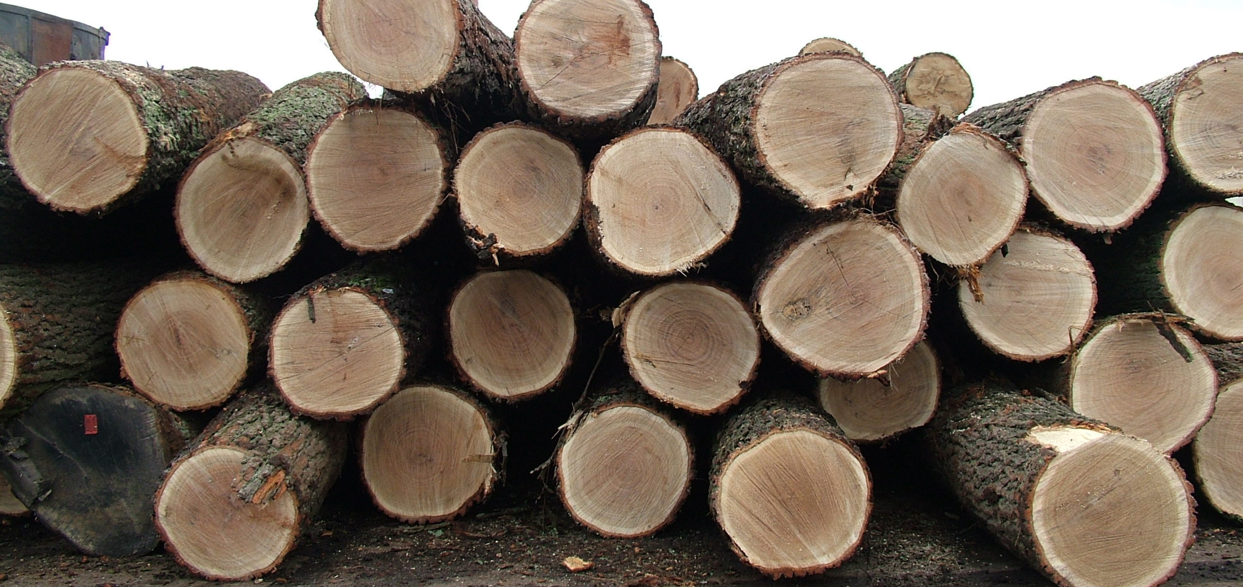 Wood Coat Australia | Sustainably sourced European Oak Engineered ...